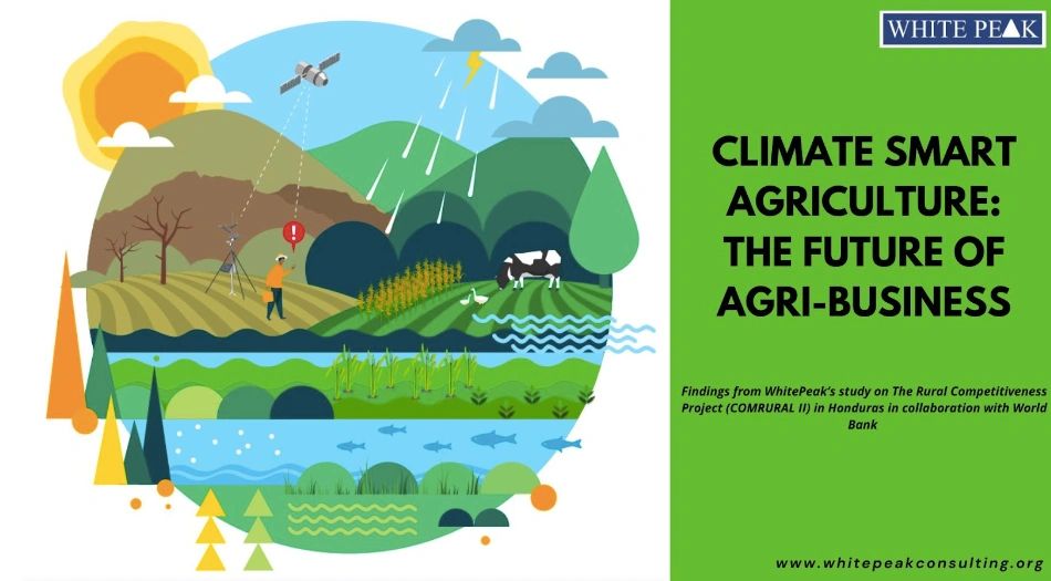 Climate Smart Agriculture: The Future of Agri-Business